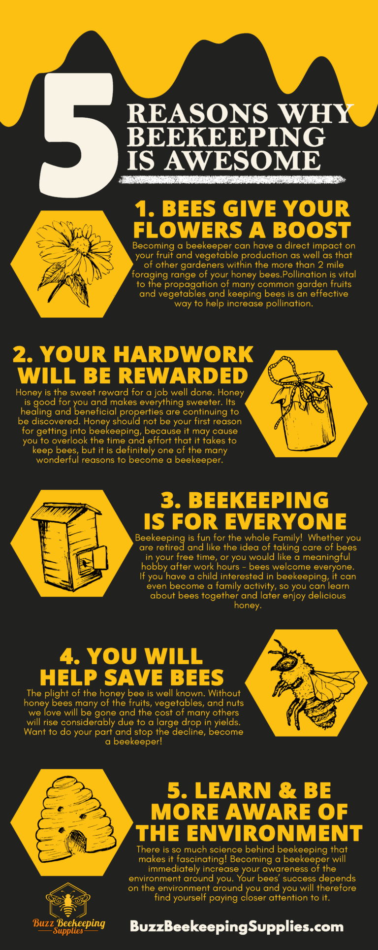 Reasons Why Beekeeping is Awesome – Buzz Beekeeping Supplies