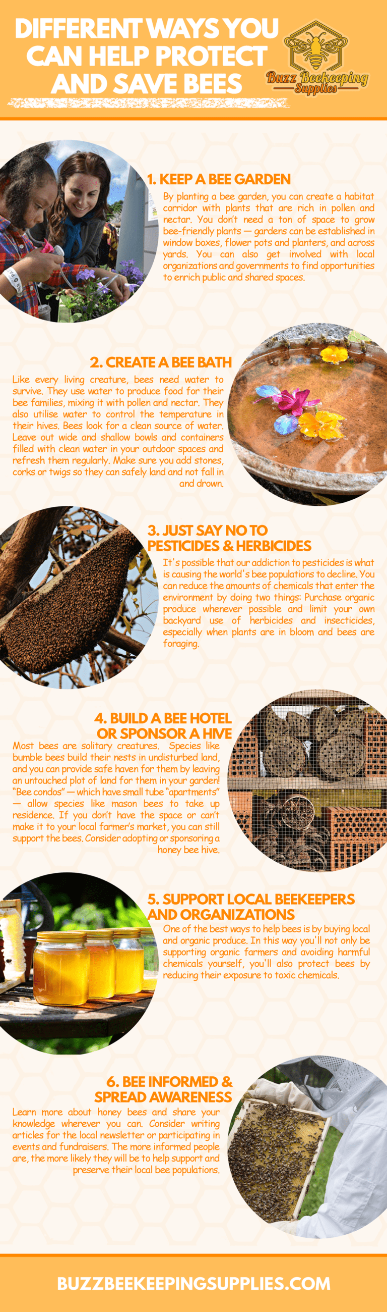 Different Ways You Can Help Protect and Save Bees – Buzz Beekeeping ...